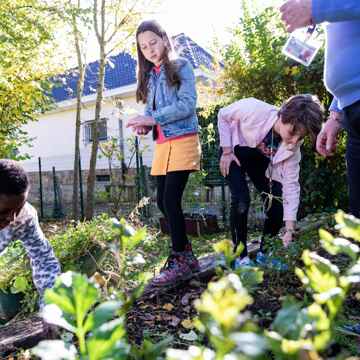 International School, ISF Waterloo Brussels